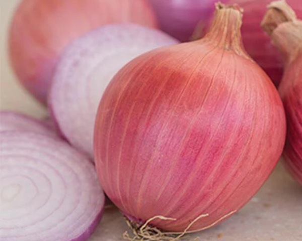 Organic Blush Onions